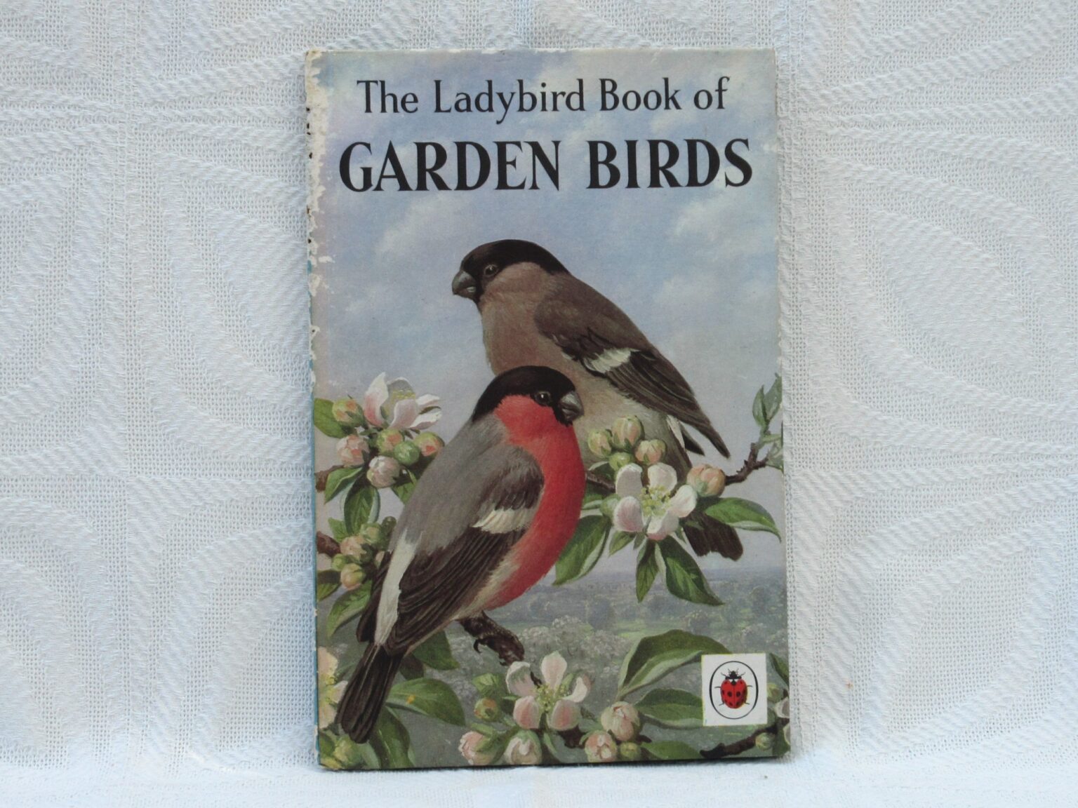 The History of Ladybird Books