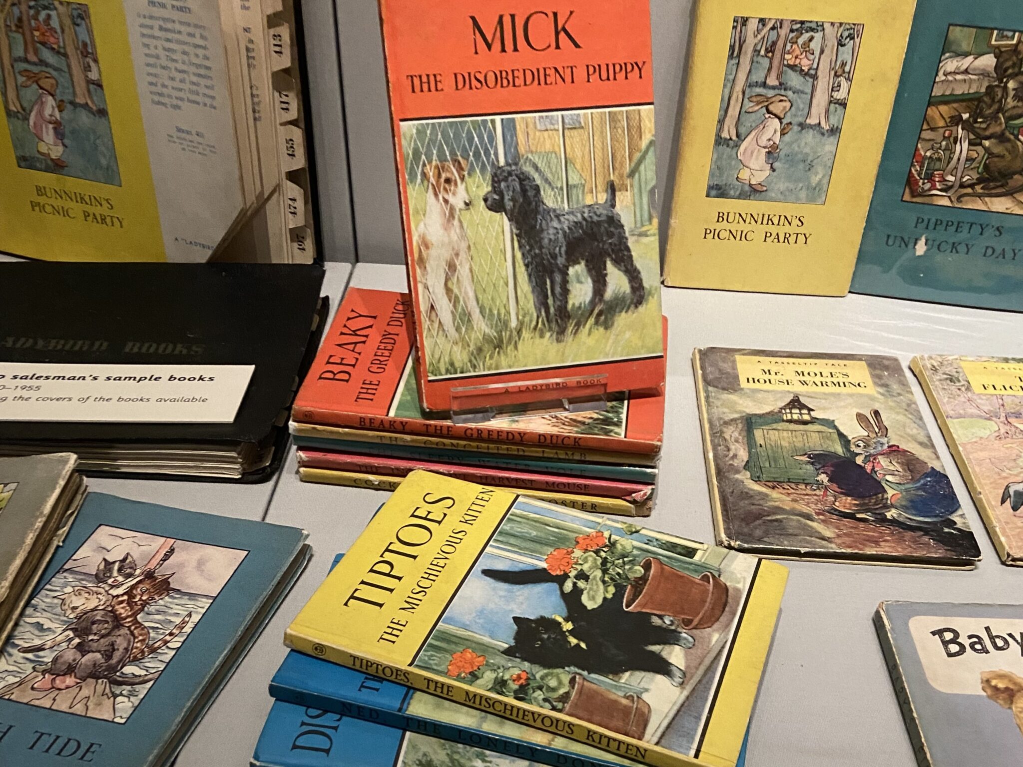 The History of Ladybird Books