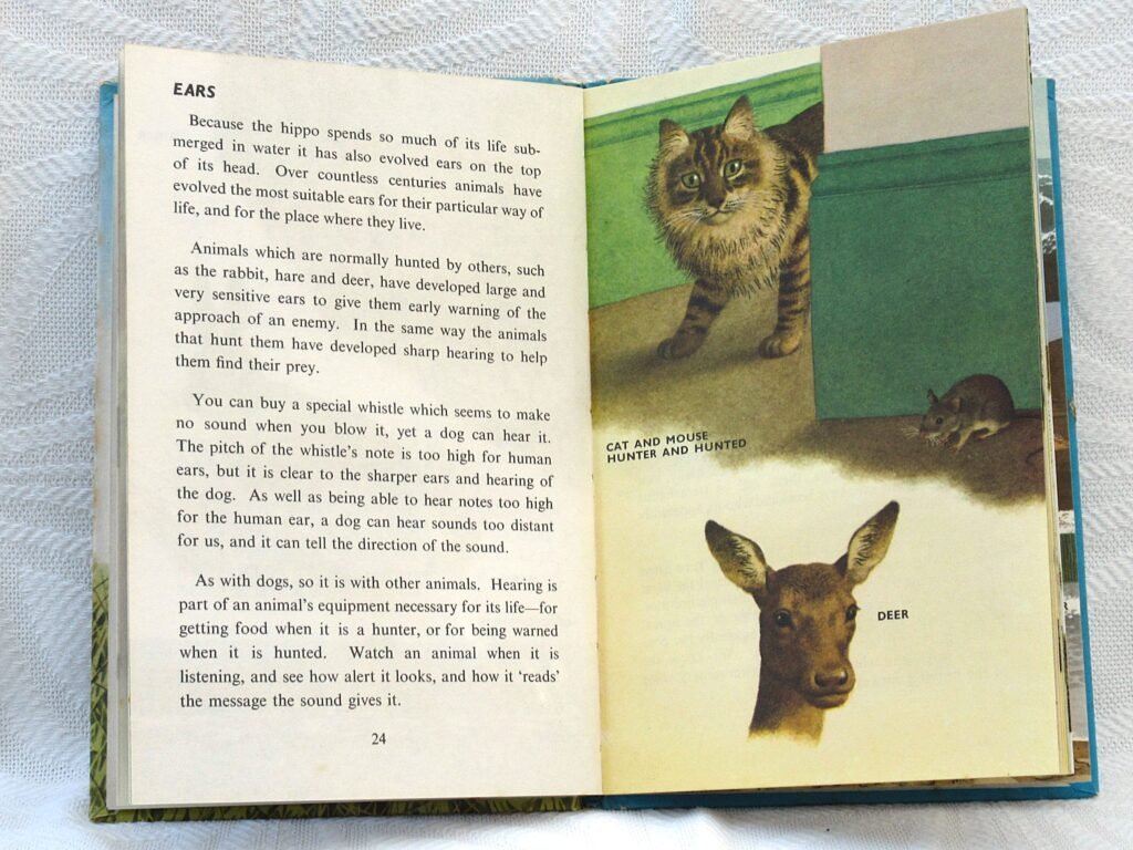 Vintage Ladybird Books Animals And How They Live Natural History Series