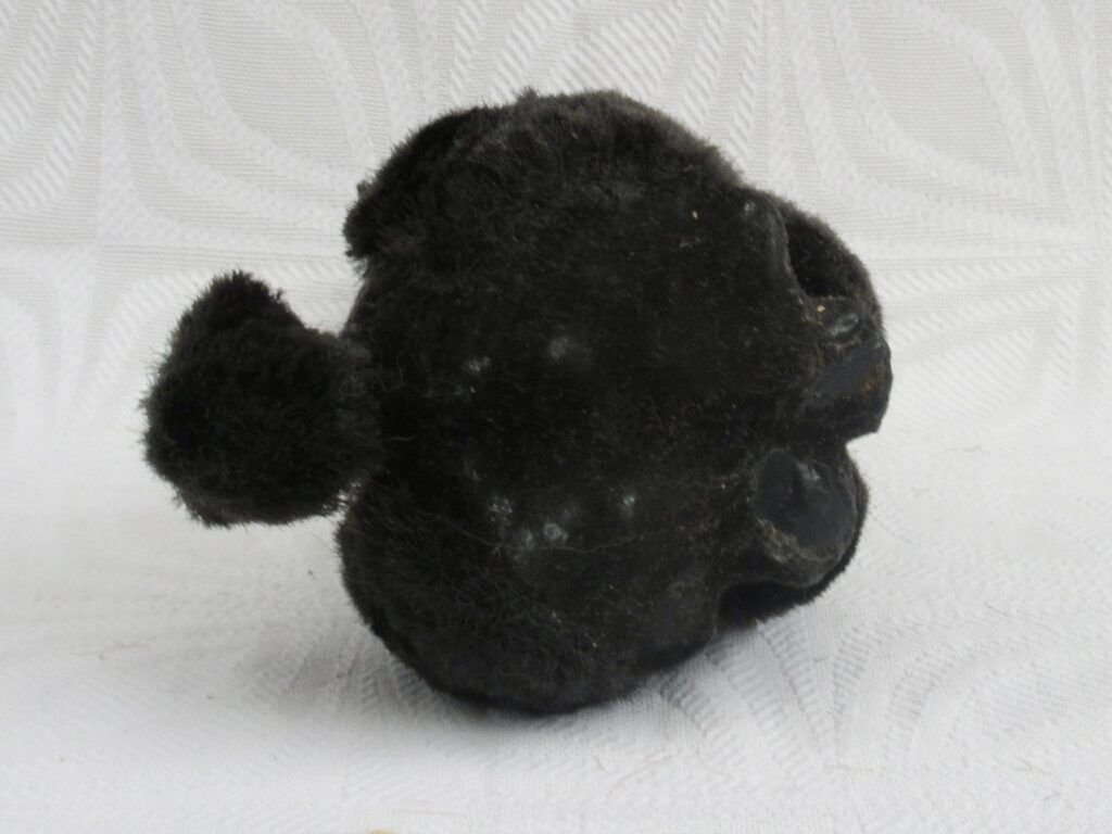 Vintage Kitsch Nodding Dog Black Poodle Sitting 50s 60s